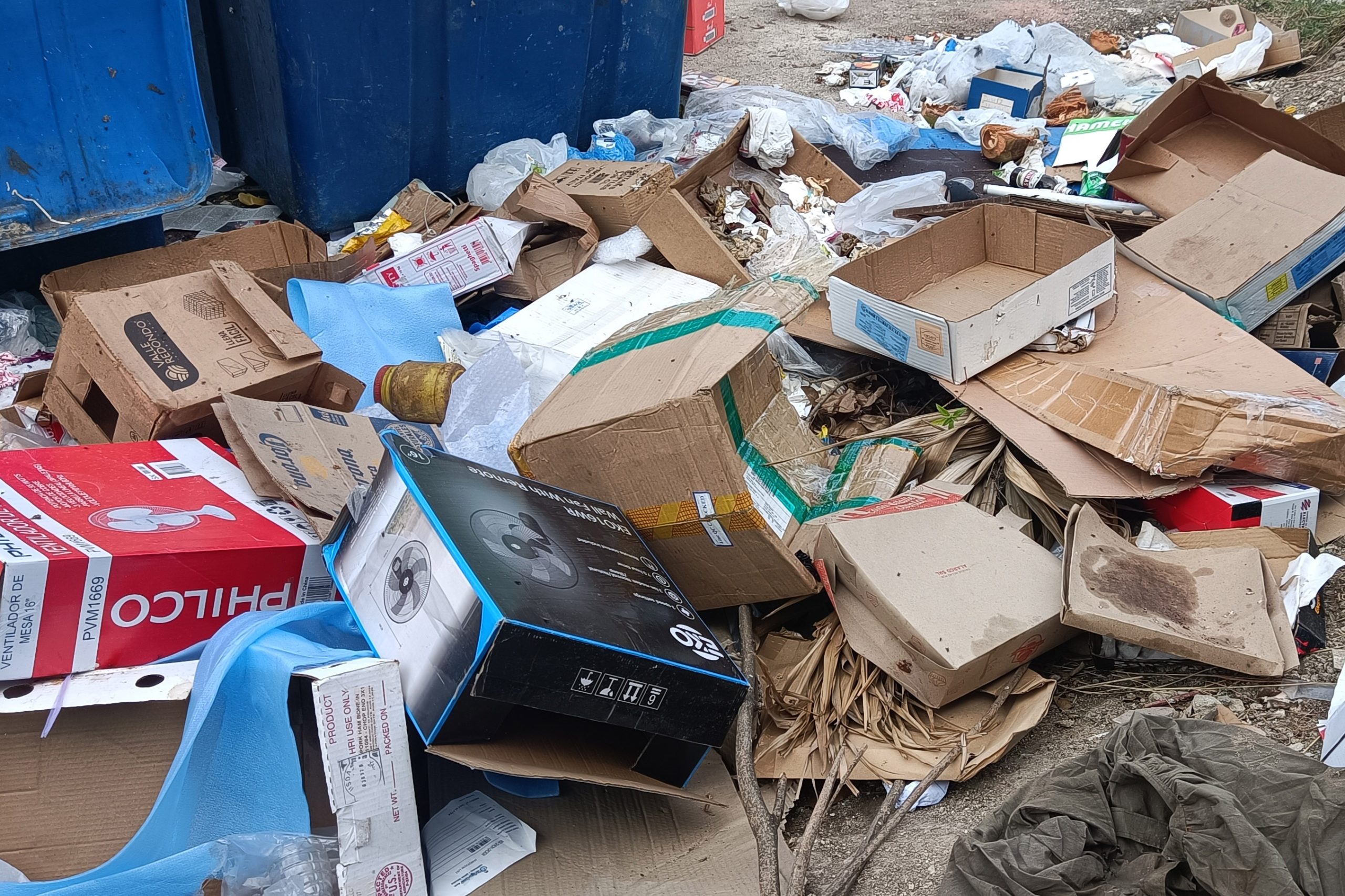 La Habana acude a actores económicos por iniciativas para papel y ...